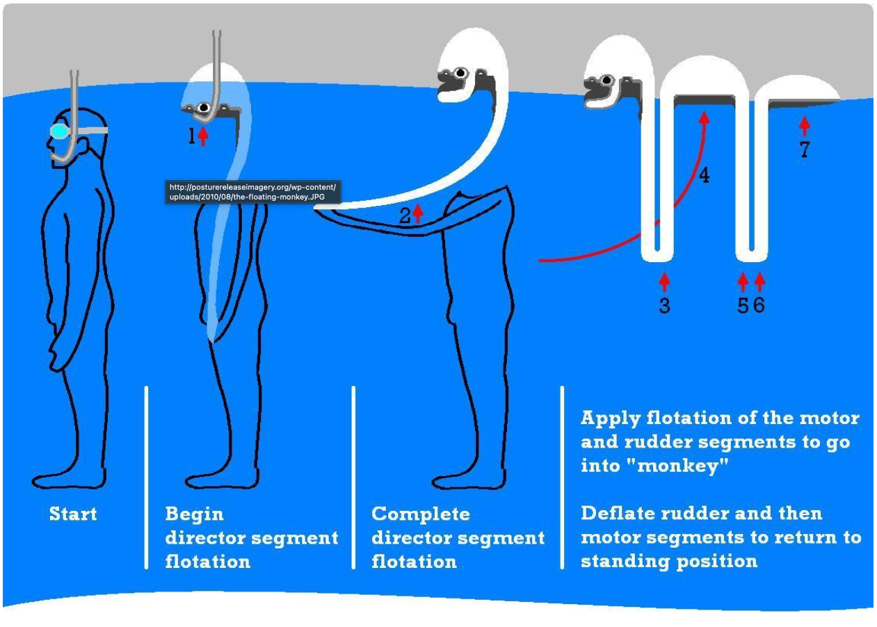 The floating monkey - Posture Release Imagery